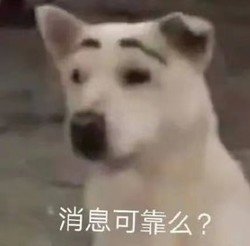 消息可靠么？开服了,沃特碧们的Colg,DNF地下城与勇士 - COLG玩家社区