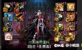 鹦鹉特化觉醒搭配。,沃特碧们的Colg,DNF地下城与勇士 - COLG玩家社区
